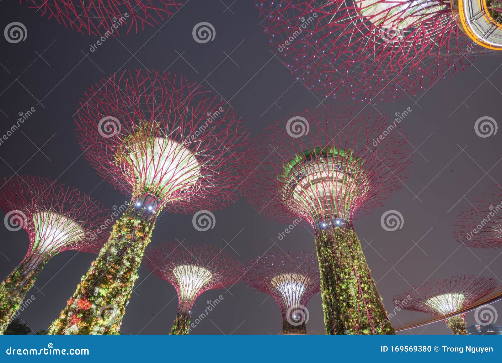 Low Angle View of Artificial Super Tree Illuminated at Night in ...
