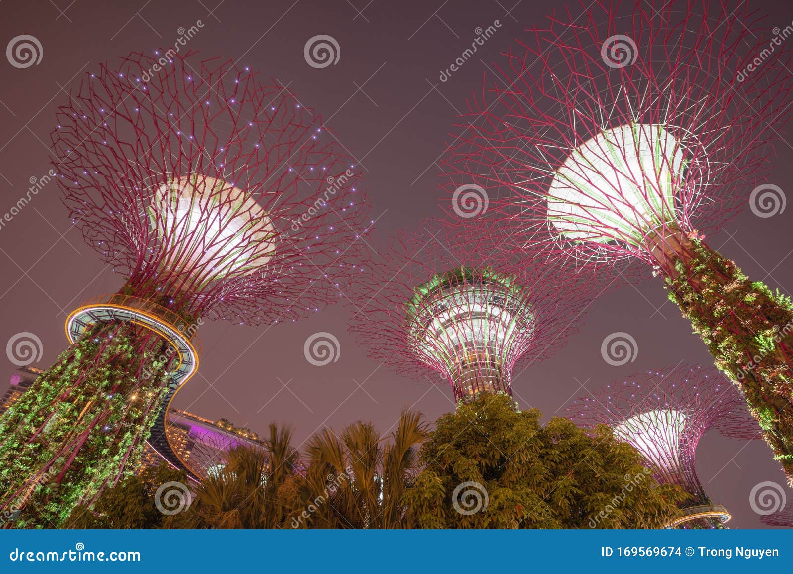 Low Angle View of Artificial Super Tree Illuminated at Night in ...