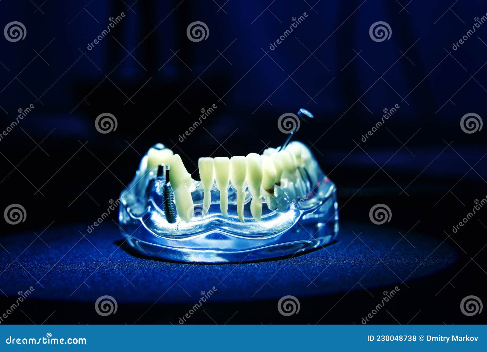 Artificial Teeth On A Plastic Jaw. Anatomical Simulator For Students Of ...