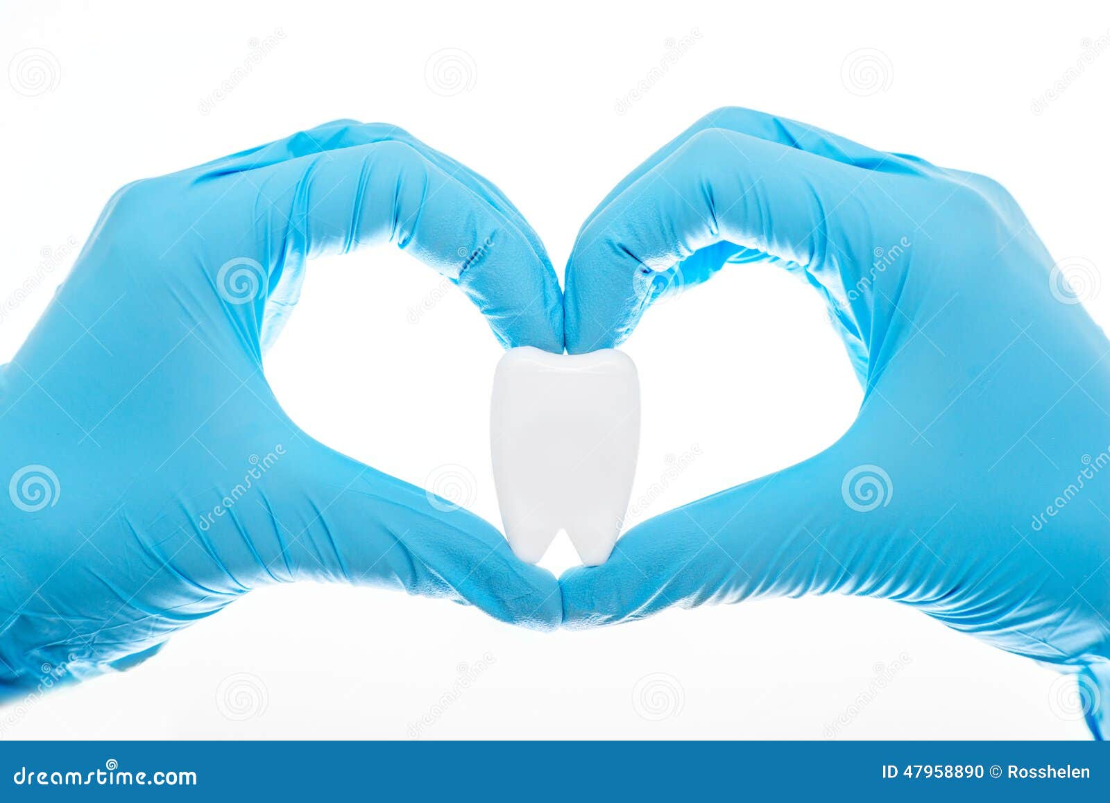 Artificial tooth in hands stock photo. Image of teeth - 47958890