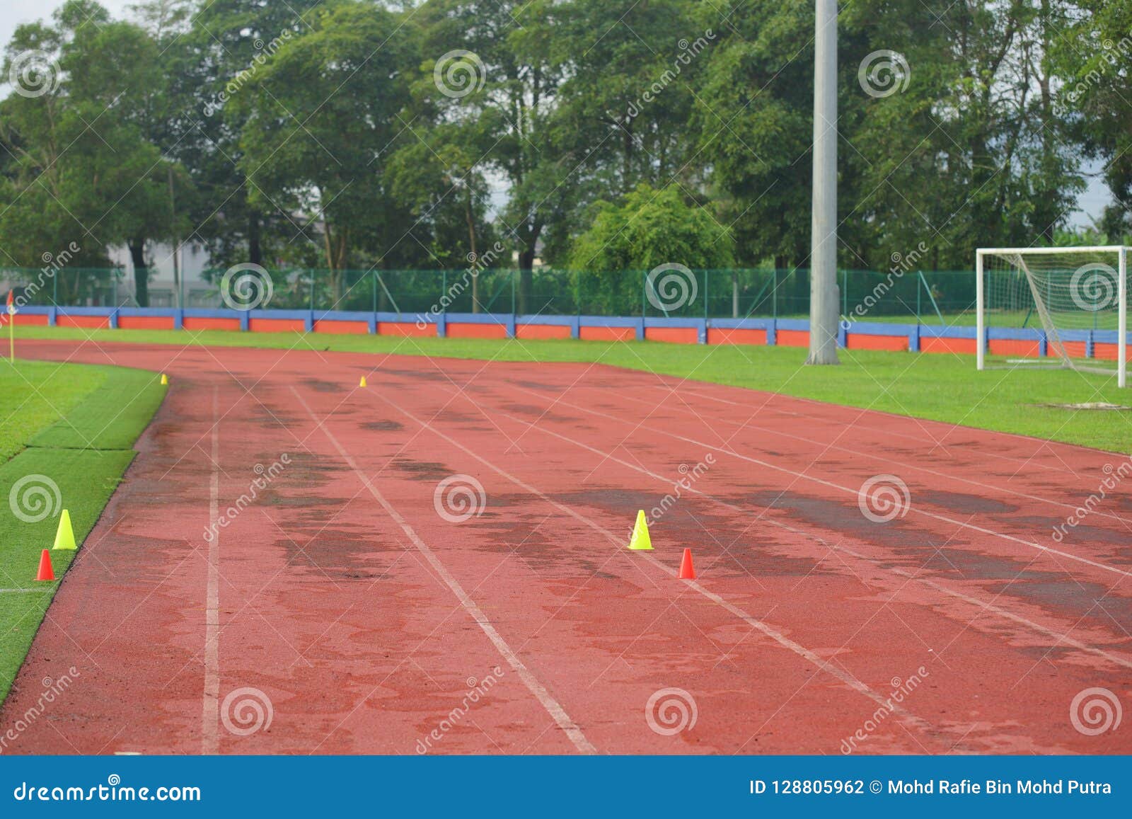 Artificial Track and Field with Green Grass Combined with Artificial ...