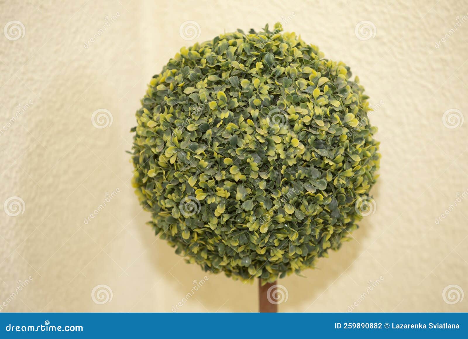Artificial Tree of a Round Shape Stock Photo - Image of decor, design ...