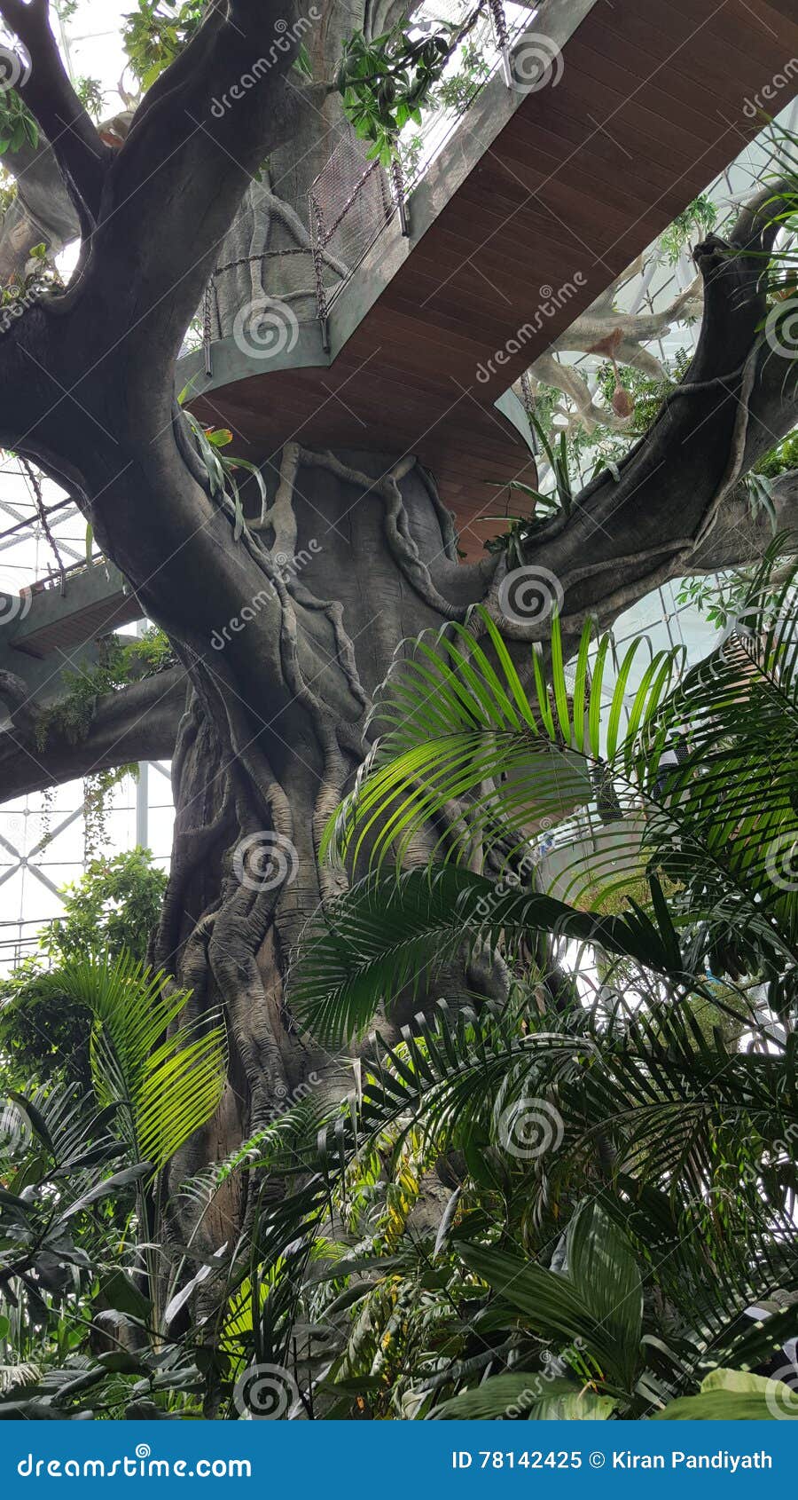 Tree Structure Stock Photography | CartoonDealer.com #5888432