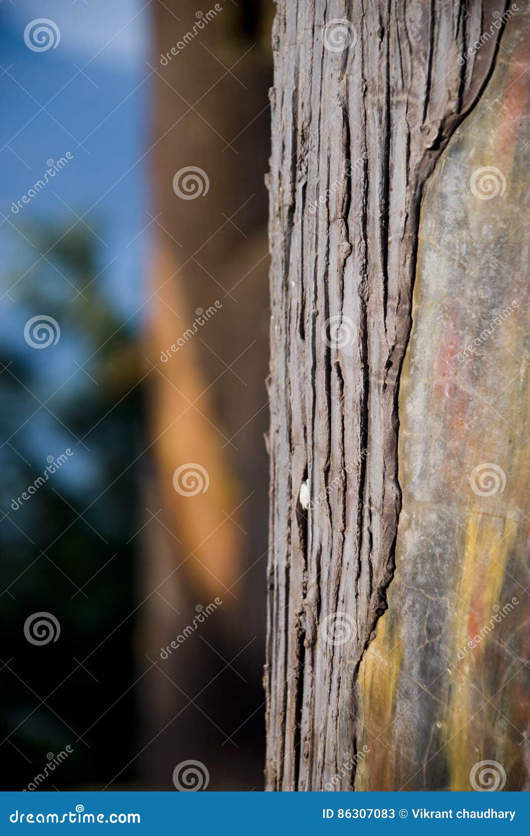 Artificial tree trunk stock image. Image of fake, wood - 86307083