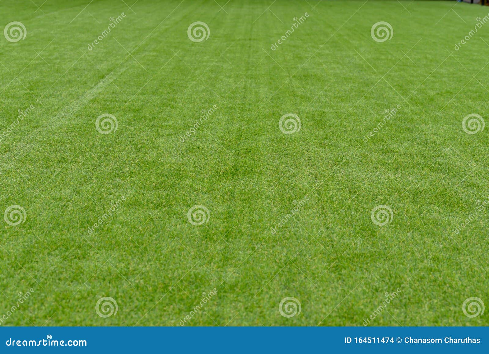 .Artificial Turf Background Under Sunshine Stock Photo - Image of ...