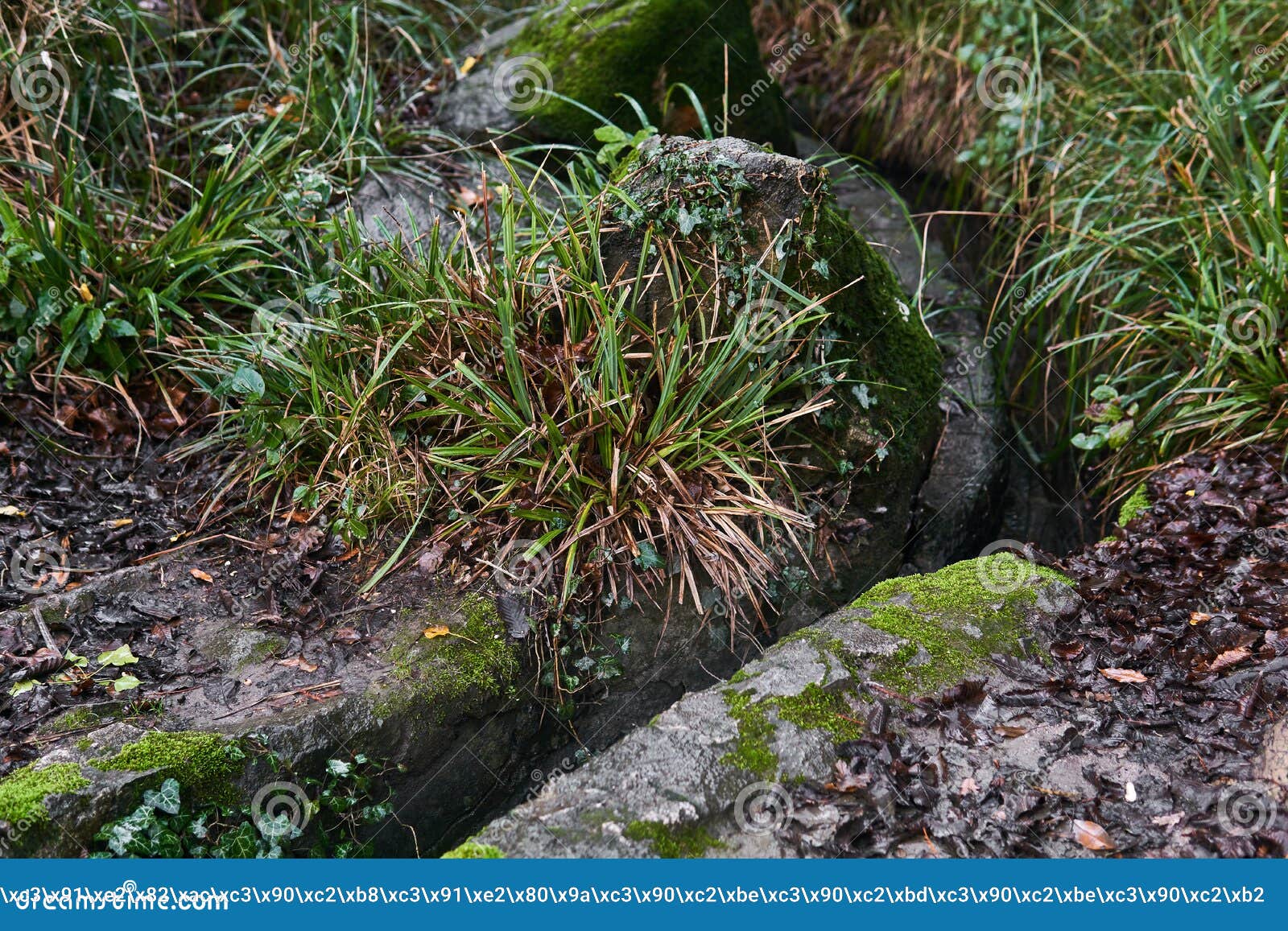 Artificial Watercourse Gutter in a Stone Bed in a Park Stock Photo ...