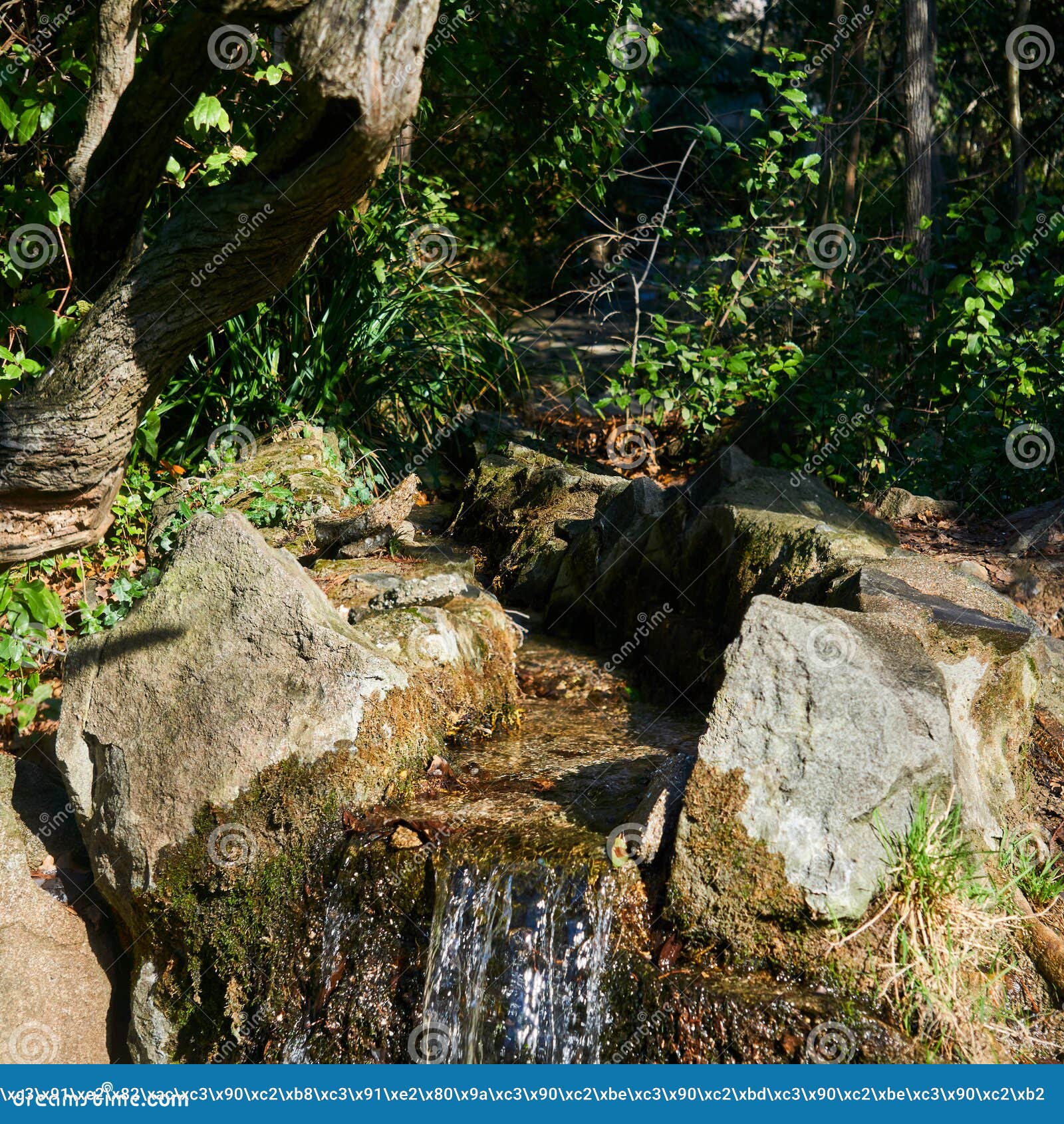 Watercourse Lined-watercourse Irrigation Irrigation-course Open ...