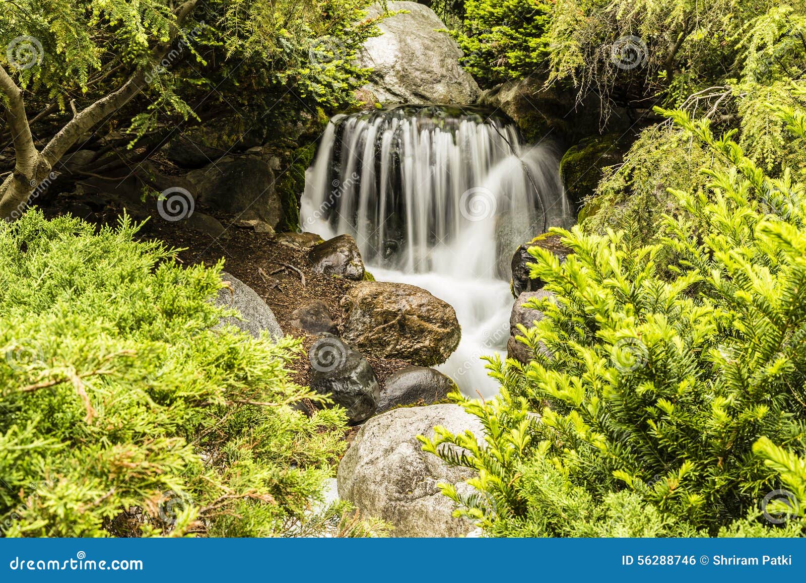 4,120 Artificial Gardens Stock Photos - Free & Royalty-Free Stock ...