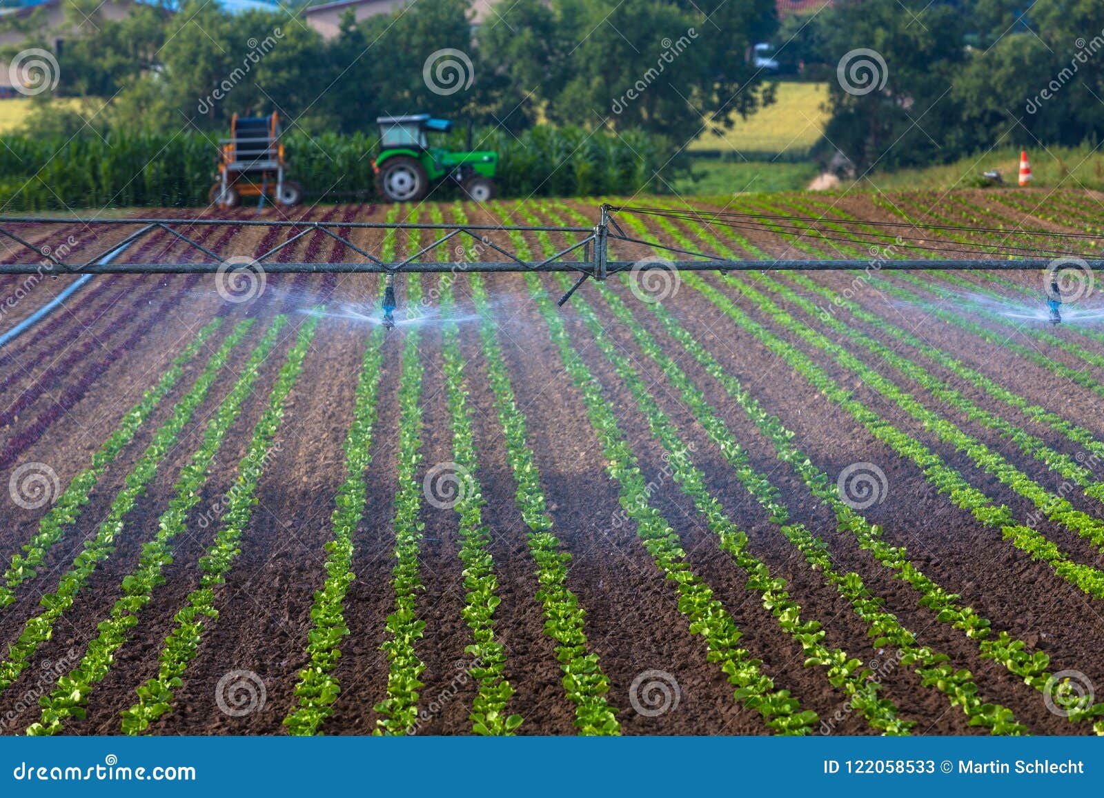 Artificial Watering in Agriculture Stock Image - Image of summer ...