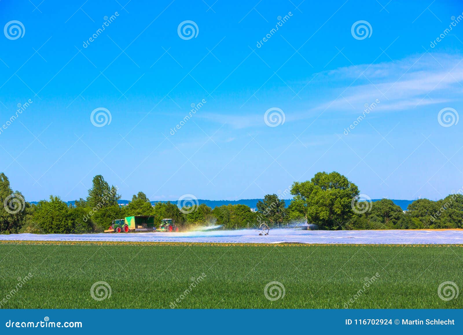 Artificial Watering in Agriculture Stock Photo - Image of vitamines ...