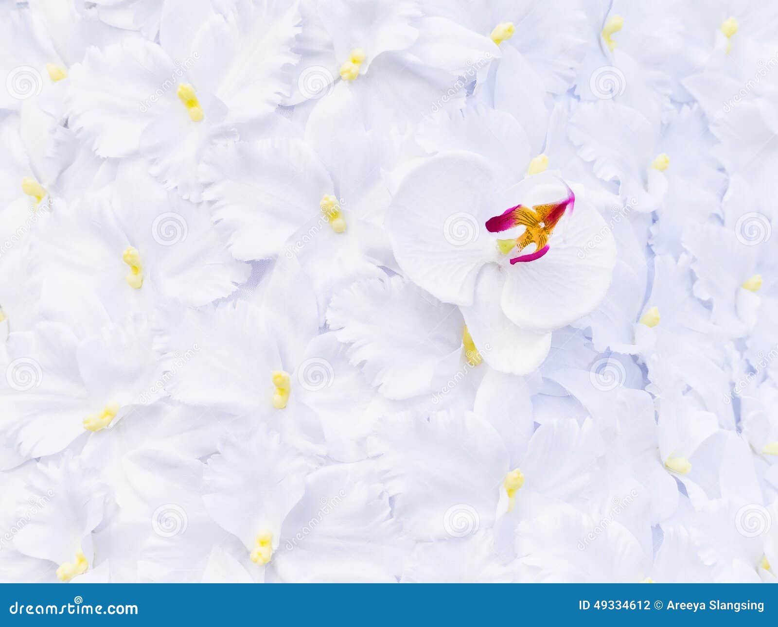 The Artificial White Orchid Texture Background Stock Photo - Image of ...