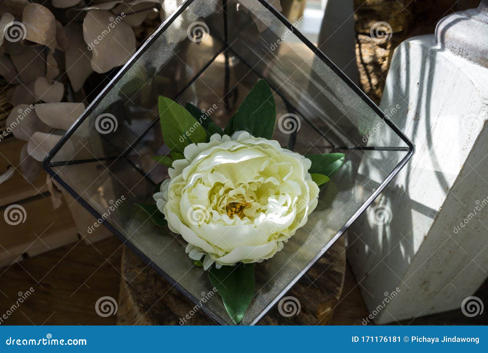 Artificial White Rose Flower in a Glass Box Stock Image - Image of ...