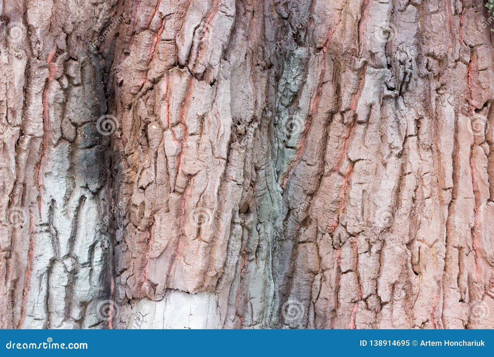 Artificial Wood and Bark. Imitation of Wood Bark with Concrete Stock ...