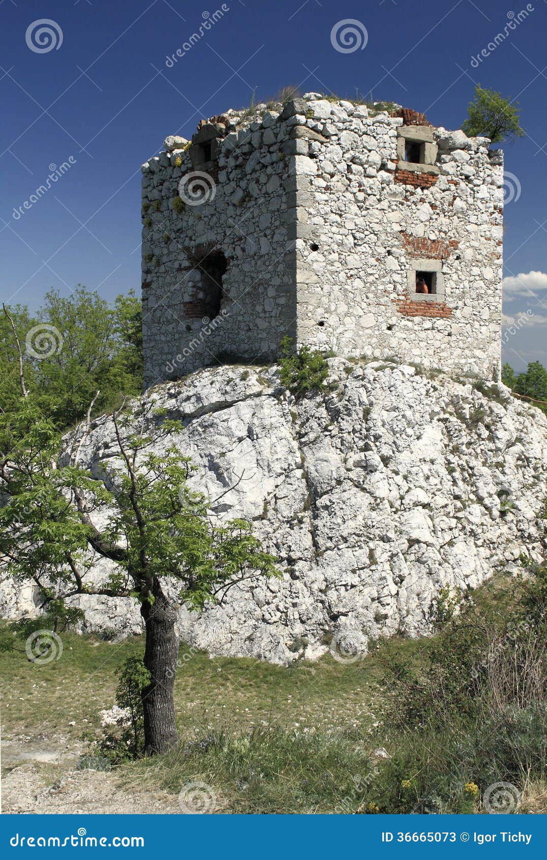 Devicky Or Divci Hrady Castle. Ruin Of Limestone Gothic Castle Stock ...