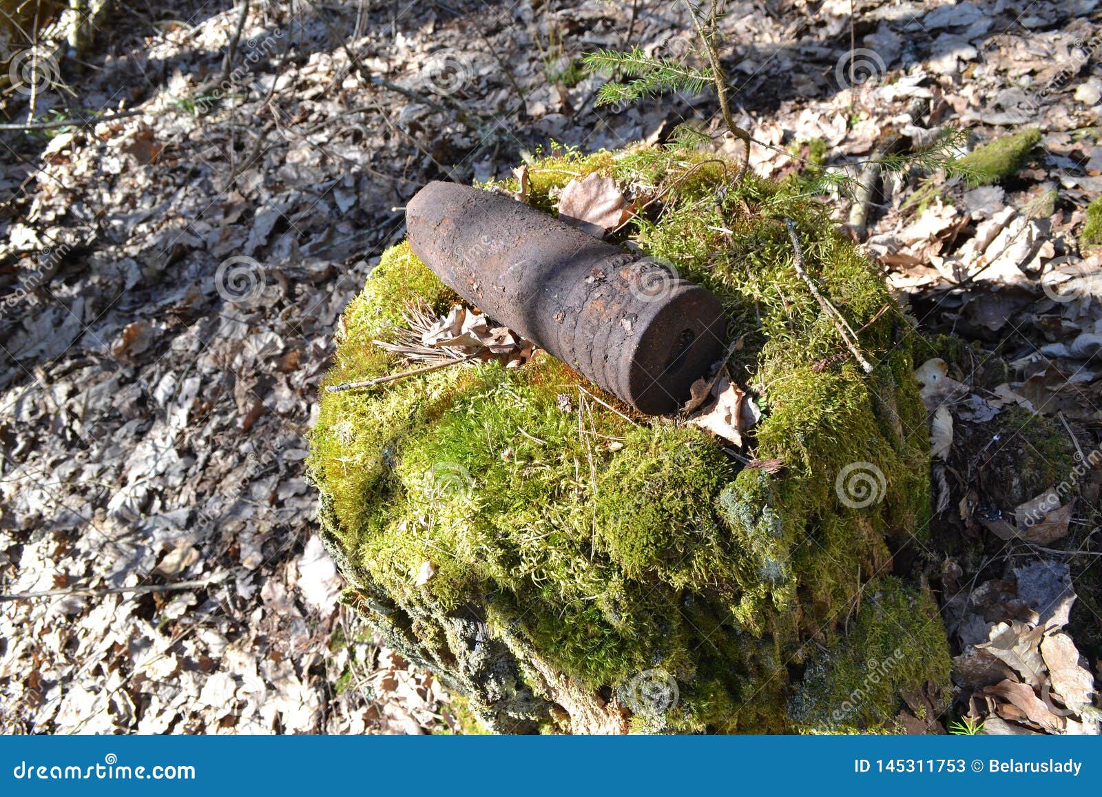 Artillery Whizzbang High Explosive Of The Second World War On Stump In ...