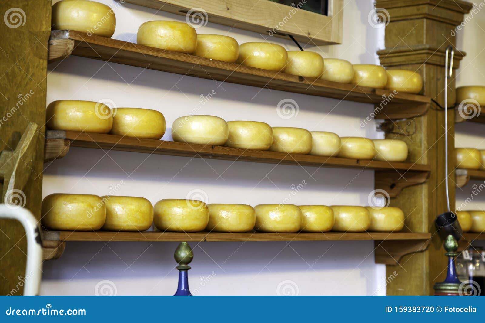 Artisan edam cheese stock photo. Image of netherlands - 159383720