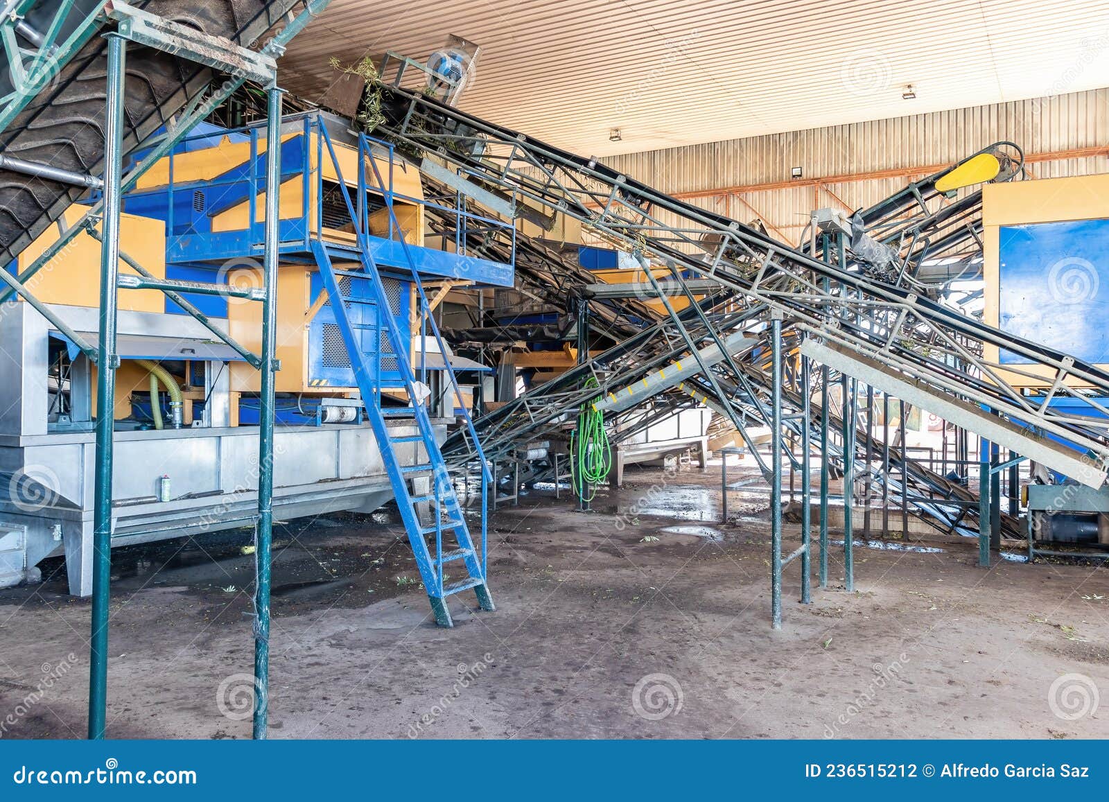 Artisan Olive Oil Processing Machinery Stock Photo - Image of healthy ...
