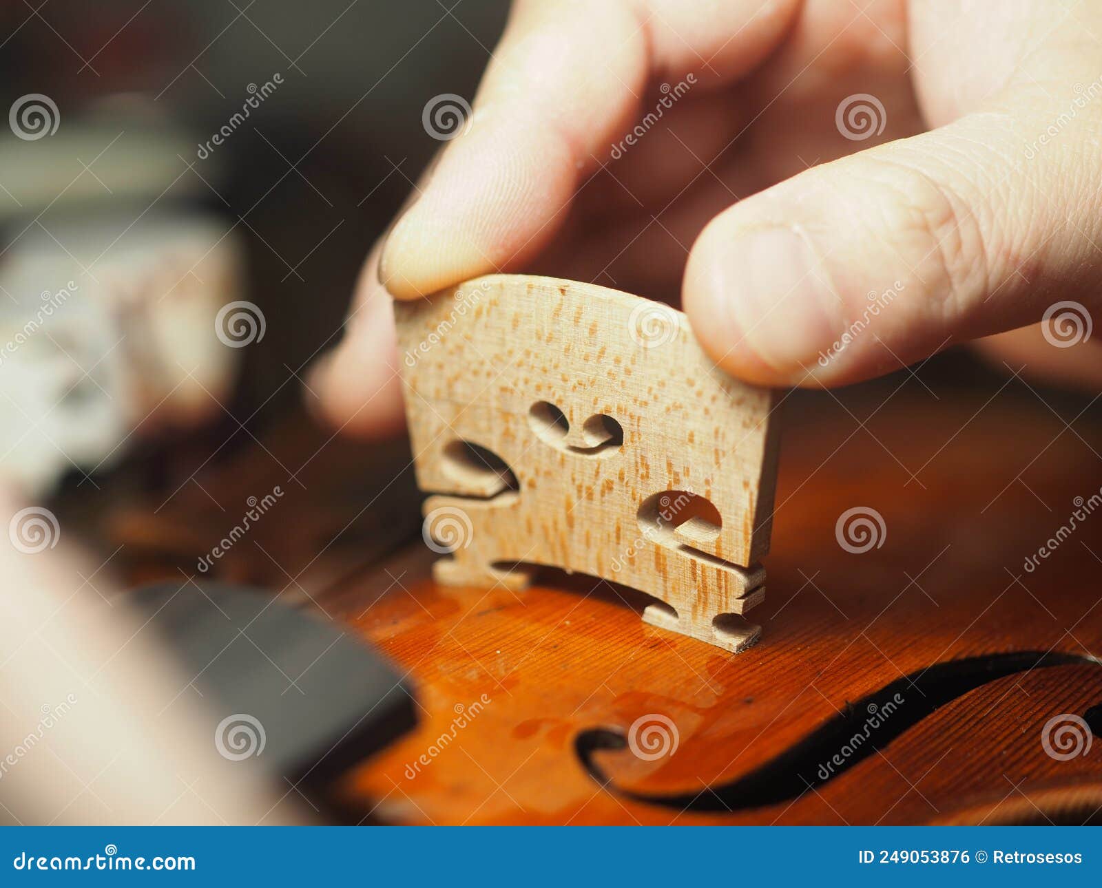 Luthier Positioning a Bridge To a Violin with Precision Stock Photo ...