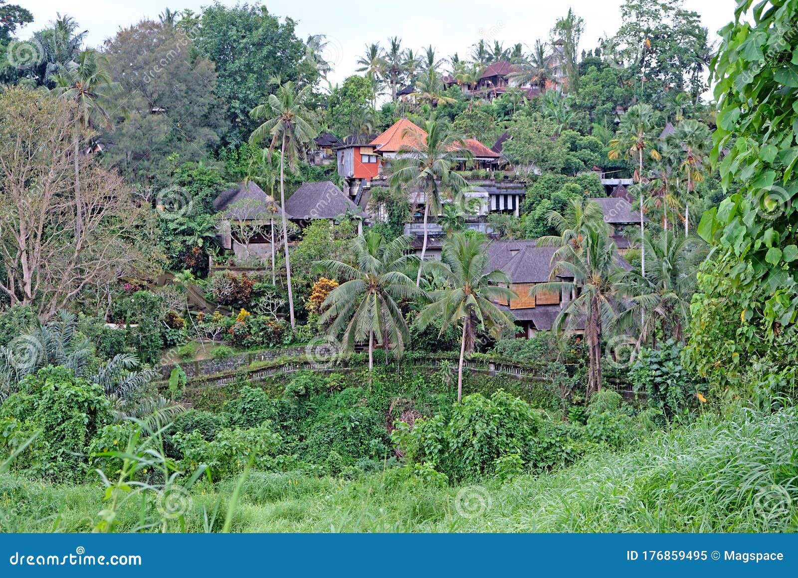 Artist Path in Ubud, Bali, Indonesia Stock Image - Image of park, pray ...