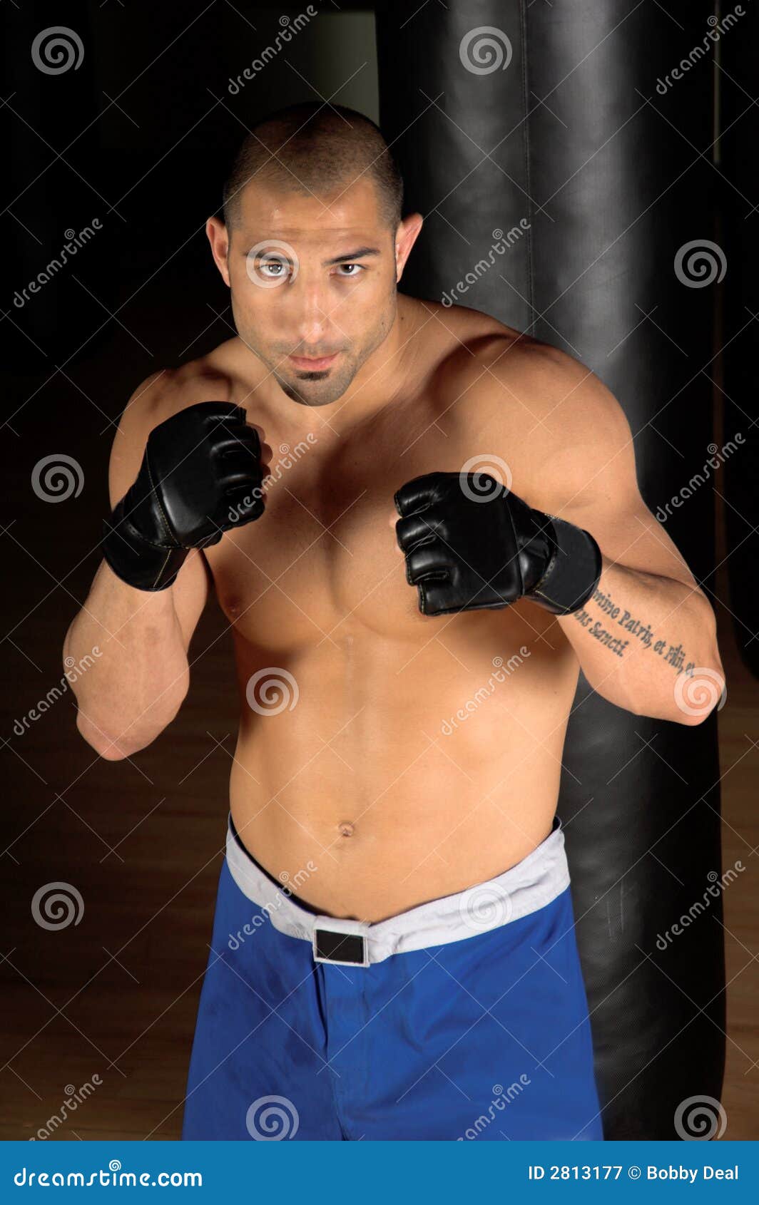 Artista marcial misturado imagem de stock. Imagem de rolo - 2813177