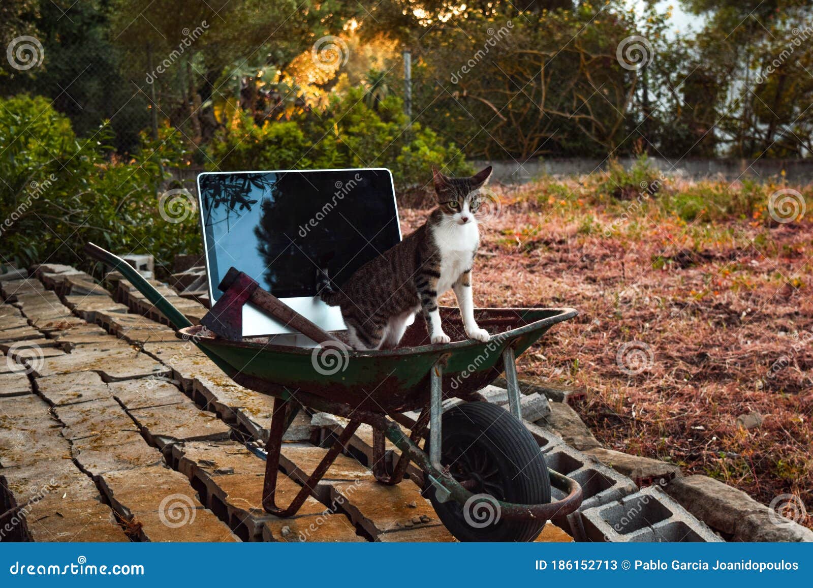 Wheelbarrow Logo Stock Photos - Free & Royalty-Free Stock Photos from ...