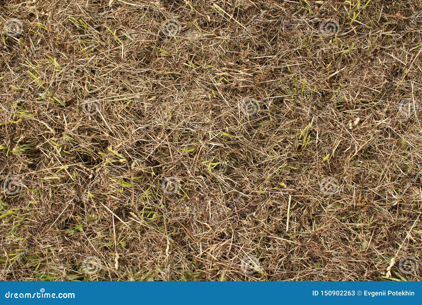 Artistic textures stock image. Image of beautiful, impression - 150902263