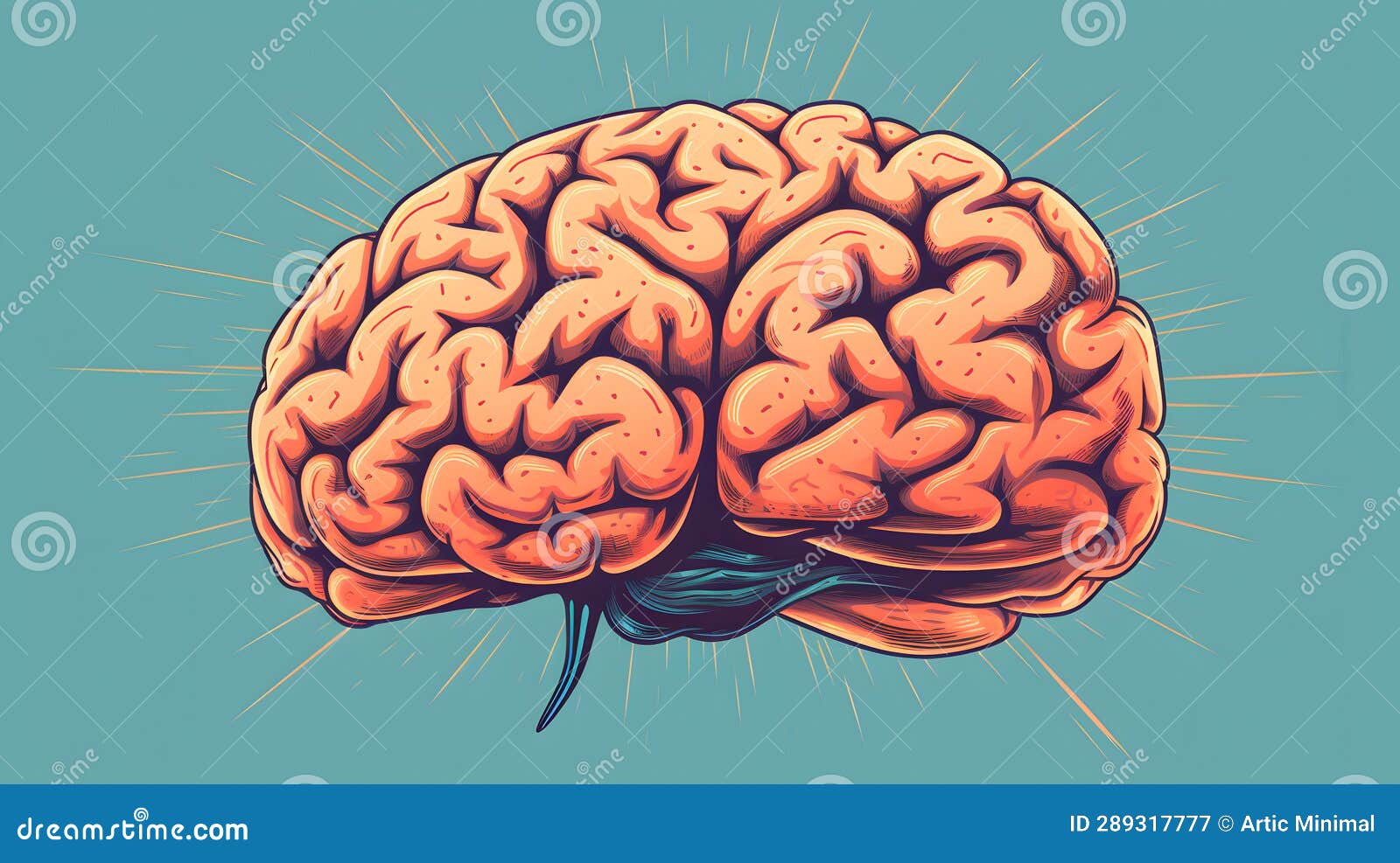 Artistic Brain Illustration with Seamless Plain Background Stock ...