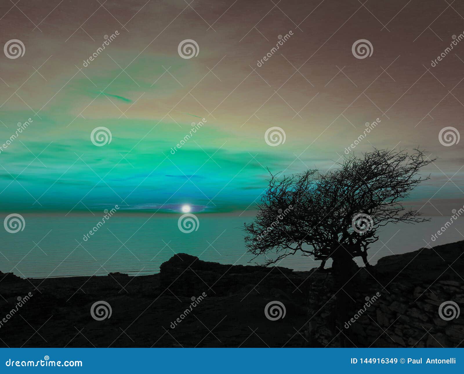 Artistic Moon Behind the Tree Stock Image - Image of cliff, edited ...