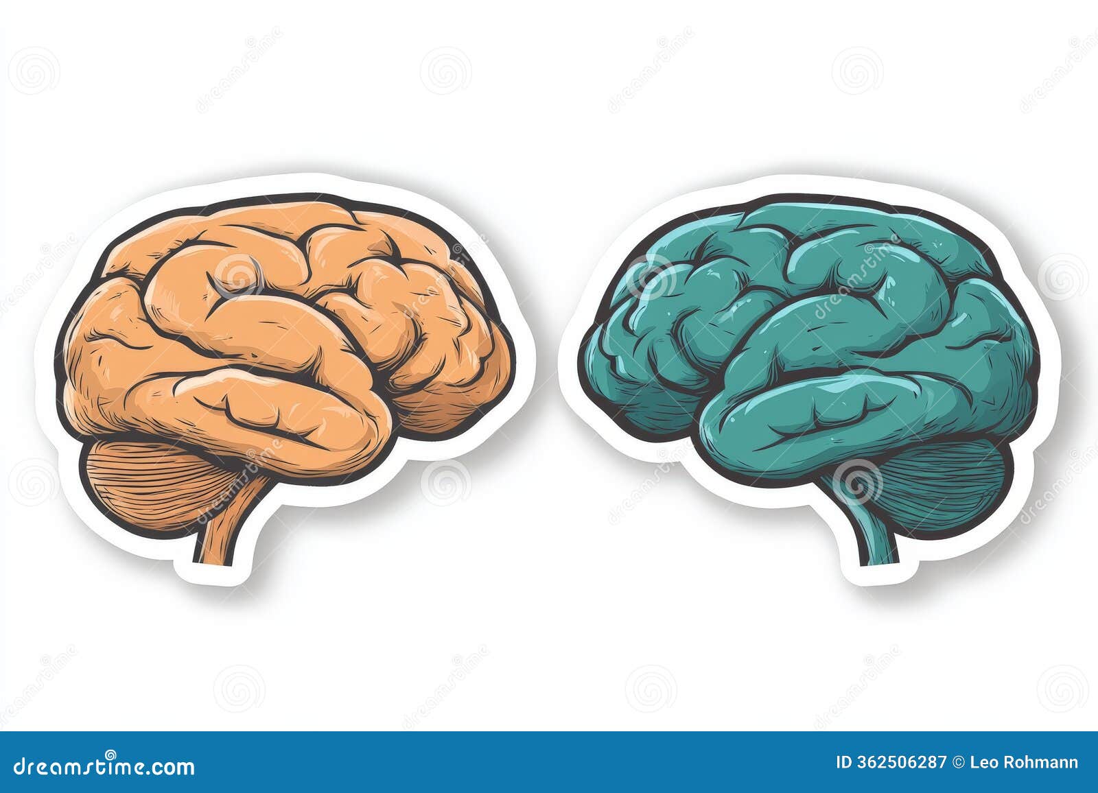 Artistic Comparison of Orange Teal Brain Illustrations Symbolizing ...