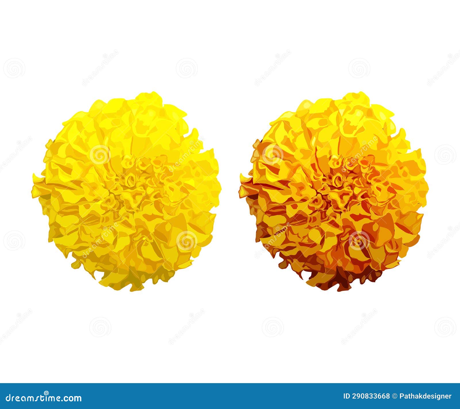 Artistic Creative Detailed Marigold Flower Stock Illustration ...