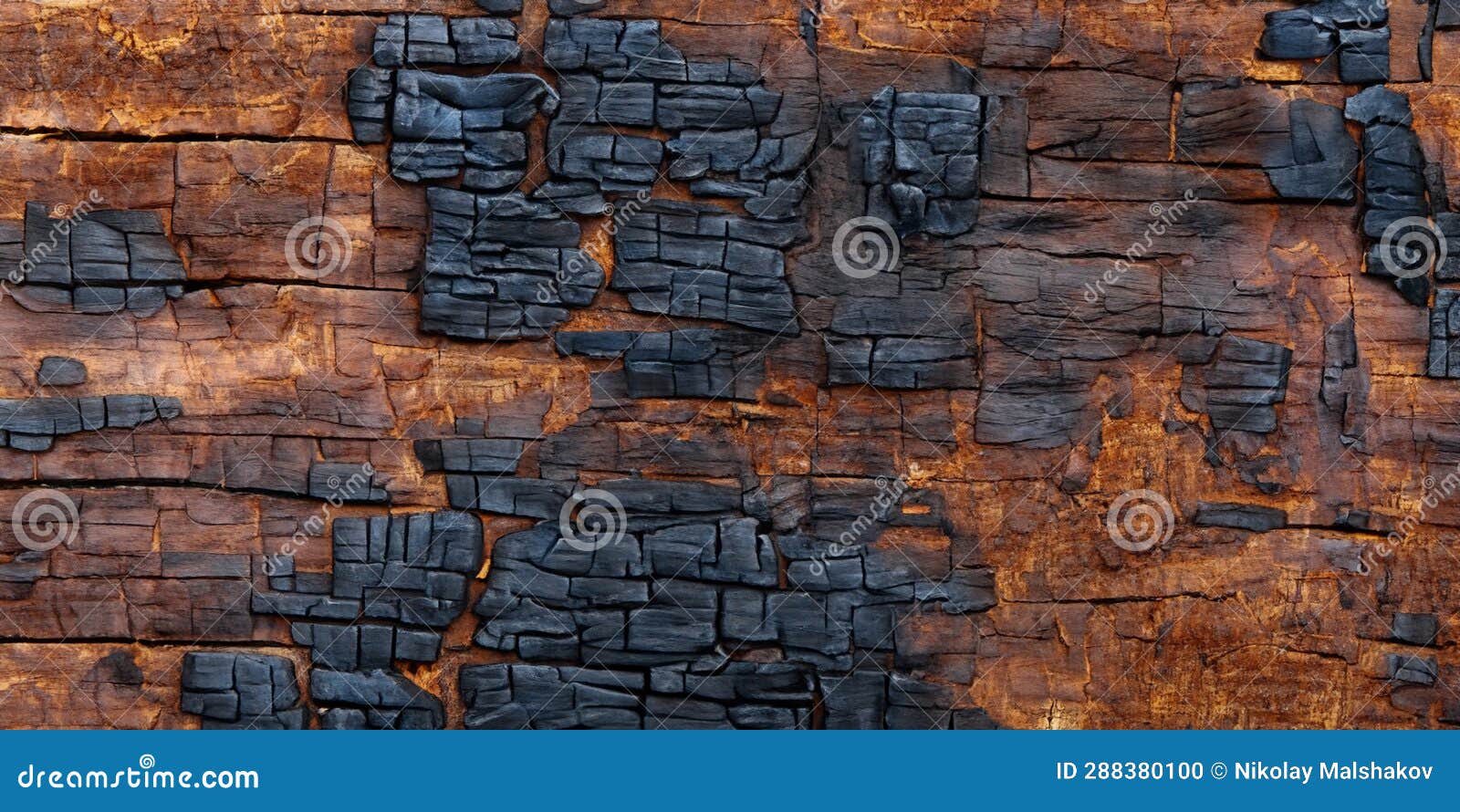 The Artistic Design Showcases a Wooden Burnt Texture As the Backdrop ...