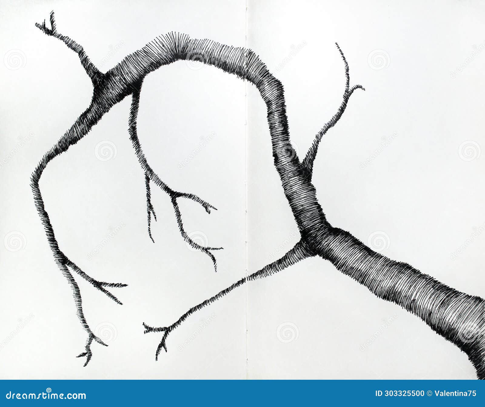 Artistic Drawing of Branche in Black Ink on White Pages Stock ...