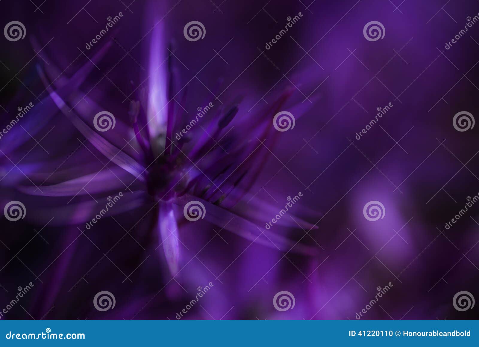 Artistic Effect Filter Beautiful Purple Floral Abstract Stock Photo ...