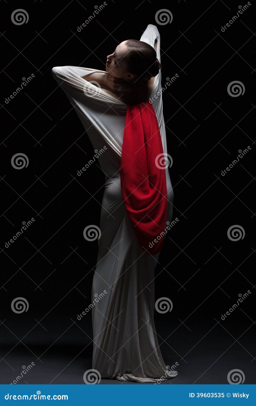 Artistic Female Dancer Posing Back To Camera Stock Image - Image of ...