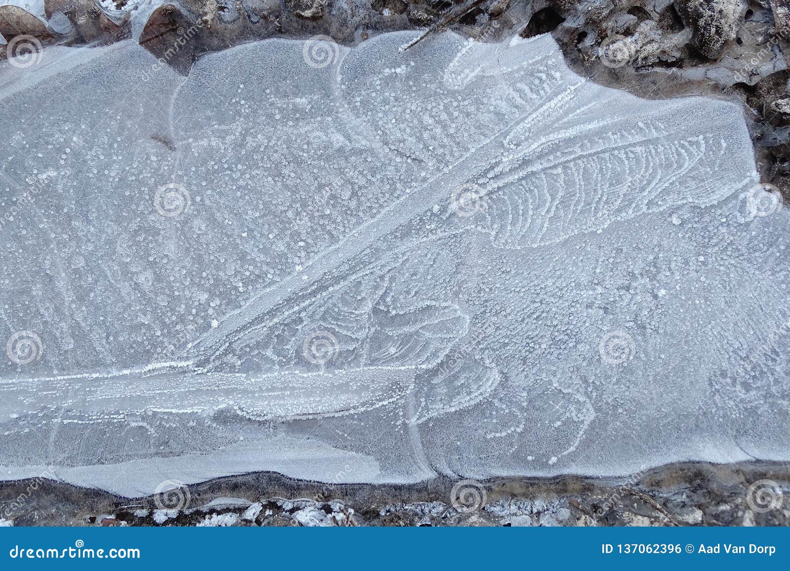 Artistic Frozen Nature in Closeup Crystalline Pattern Stock Photo ...