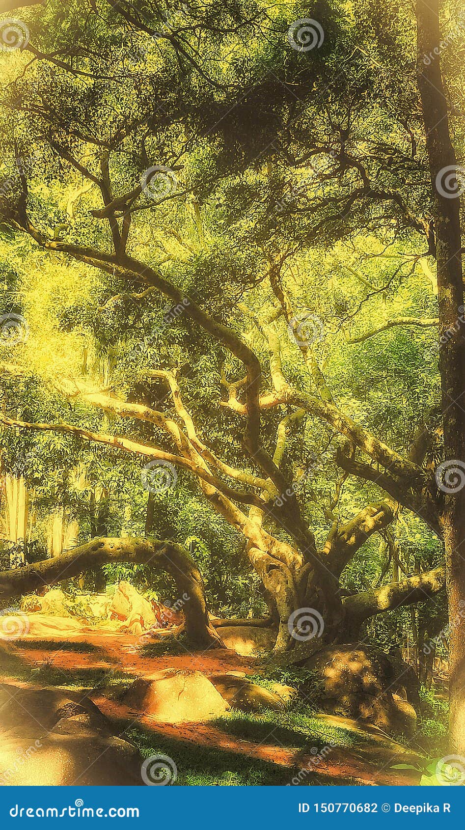 An Artistic Image of a Big Tree Stock Photo - Image of forest, spread ...