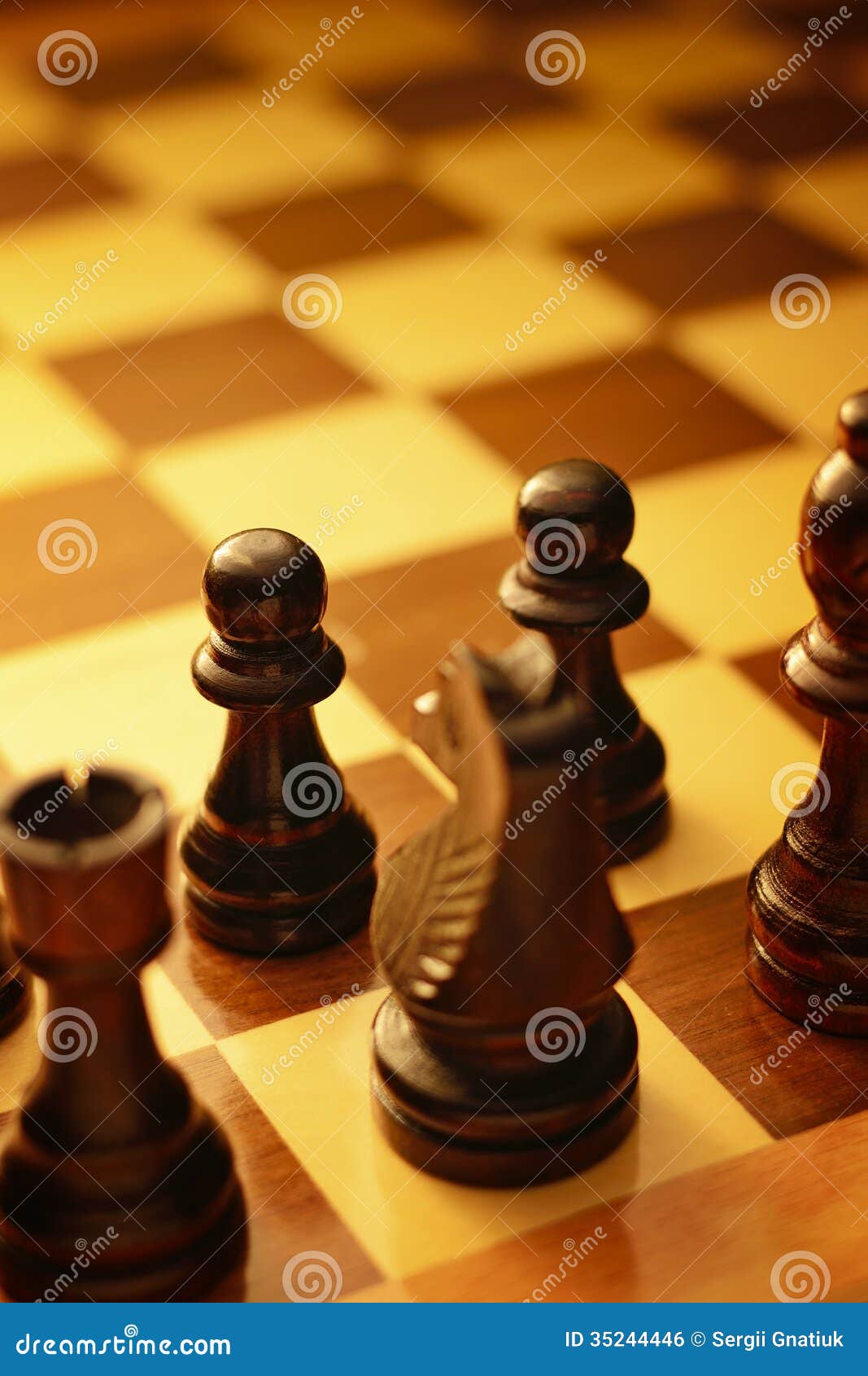 The Game Of Chess And Simultaneous Chess Display Royalty-Free Stock ...
