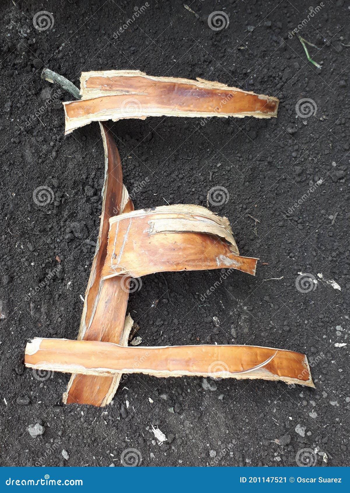 Artistic Letter E Made with Rustic Wood Stock Image - Image of floor ...
