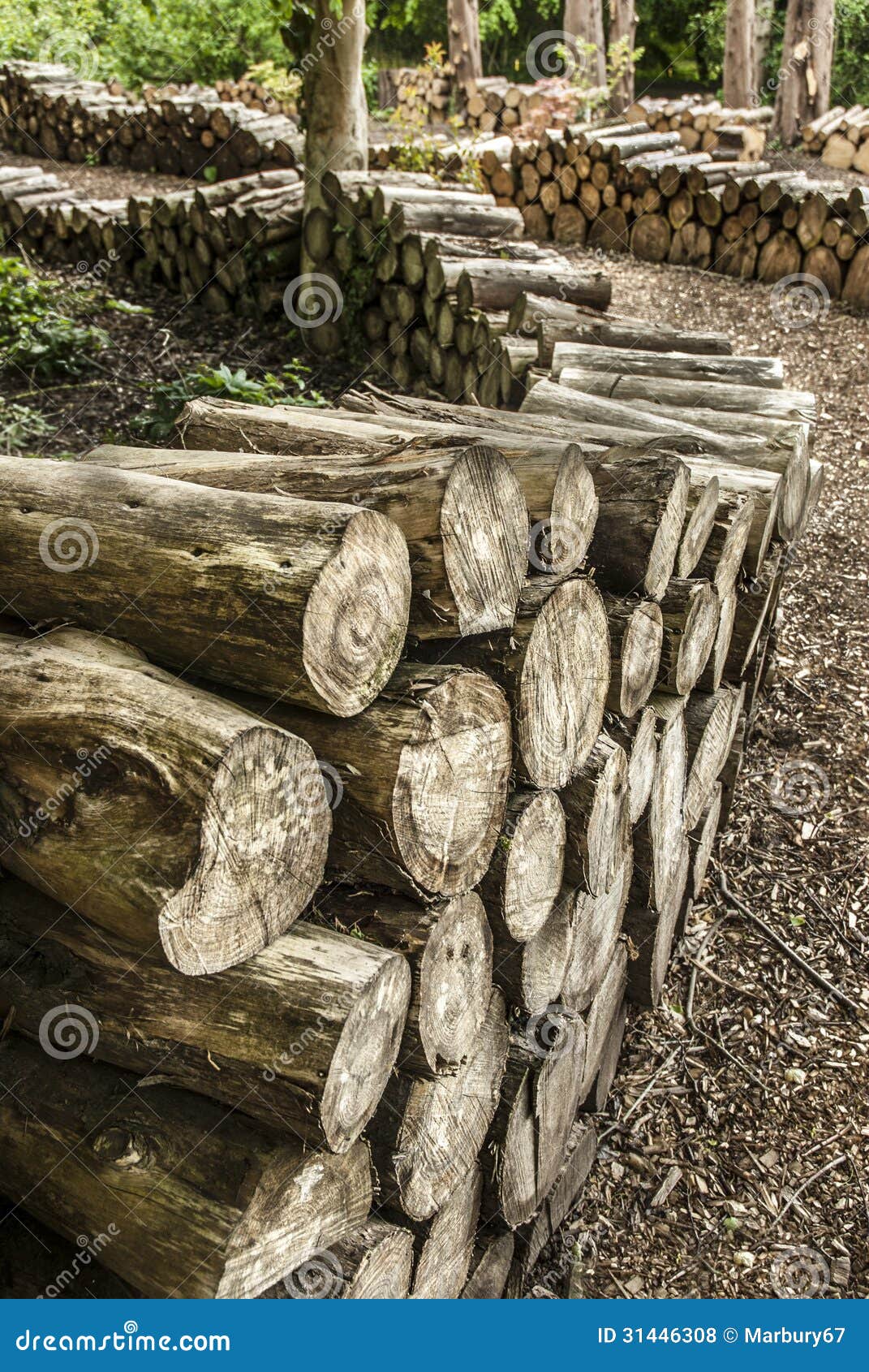 Artistic Log Pile stock photo. Image of stack, trees - 31446308