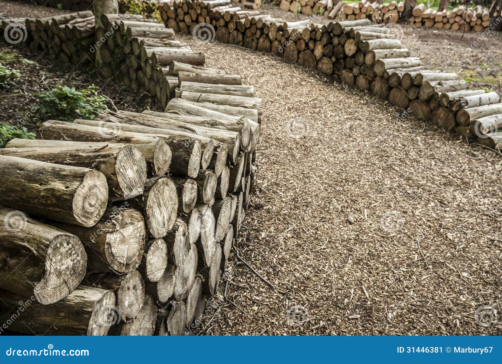 Artistic Log Pile.NEF stock image. Image of pile, stumps - 31446381
