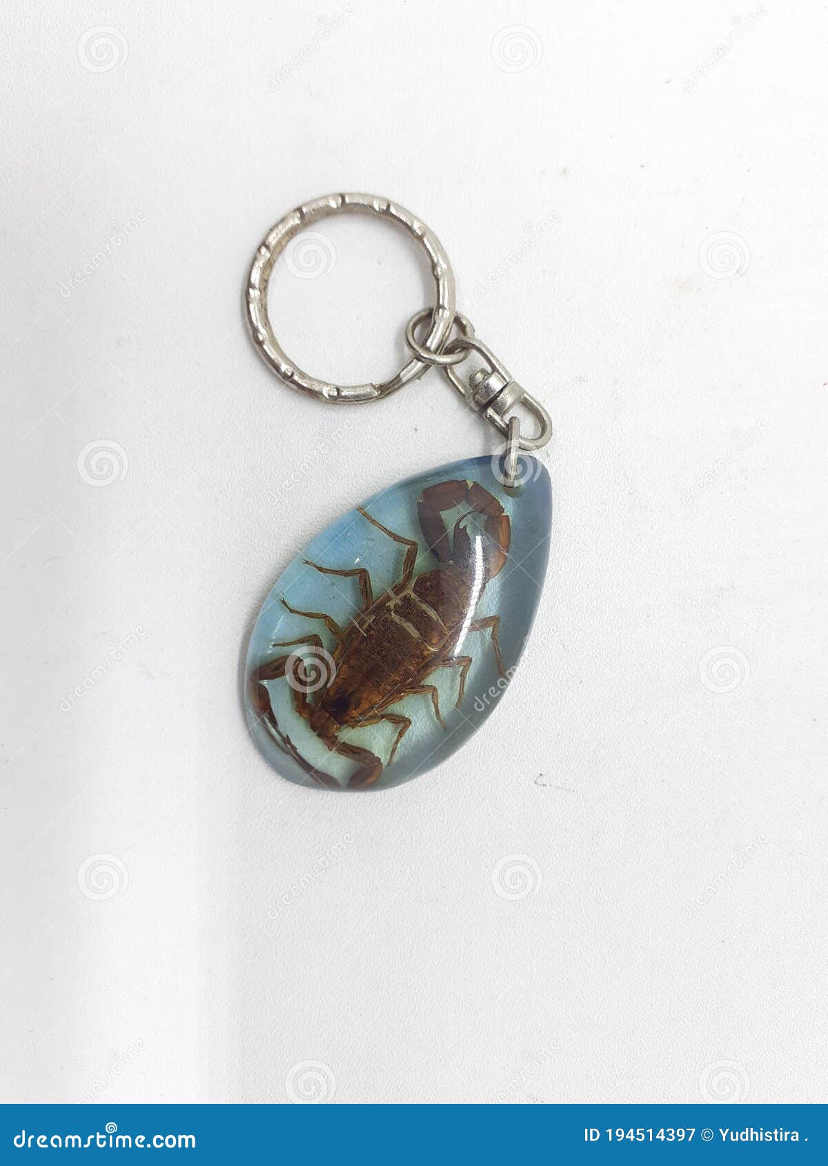 Artistic Modern Key Chain for Accessories in White Isolated Background ...