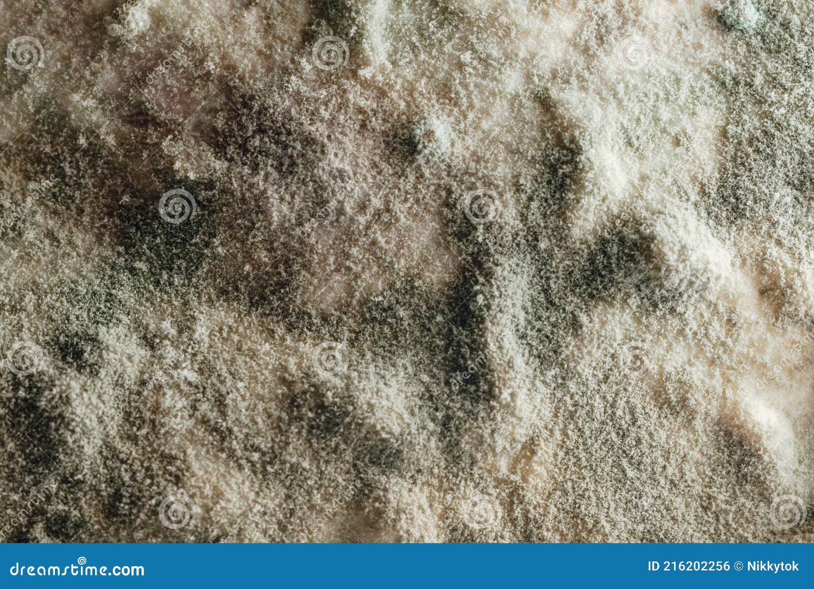 Artistic mold background stock photo. Image of fungal - 216202256