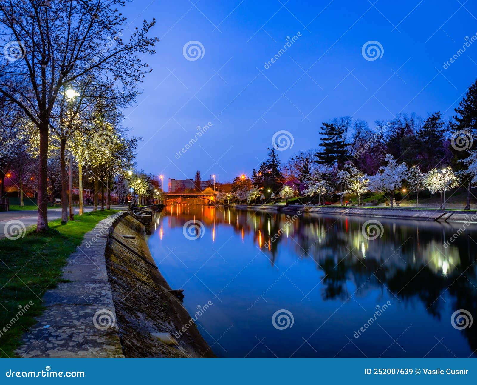 Artistic Night Photo of Bega River with Reflections in it Stock Image ...