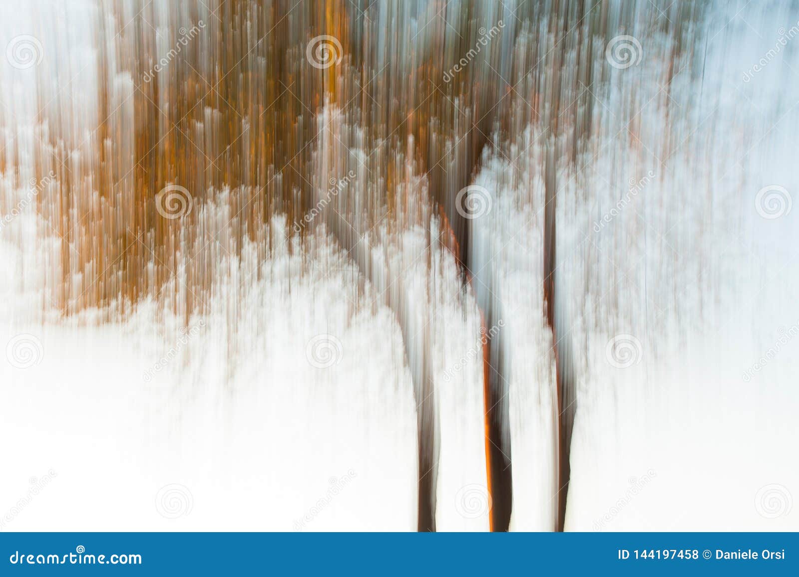 Artistic Photography of a Tree Using the Painting-effect, by Long ...