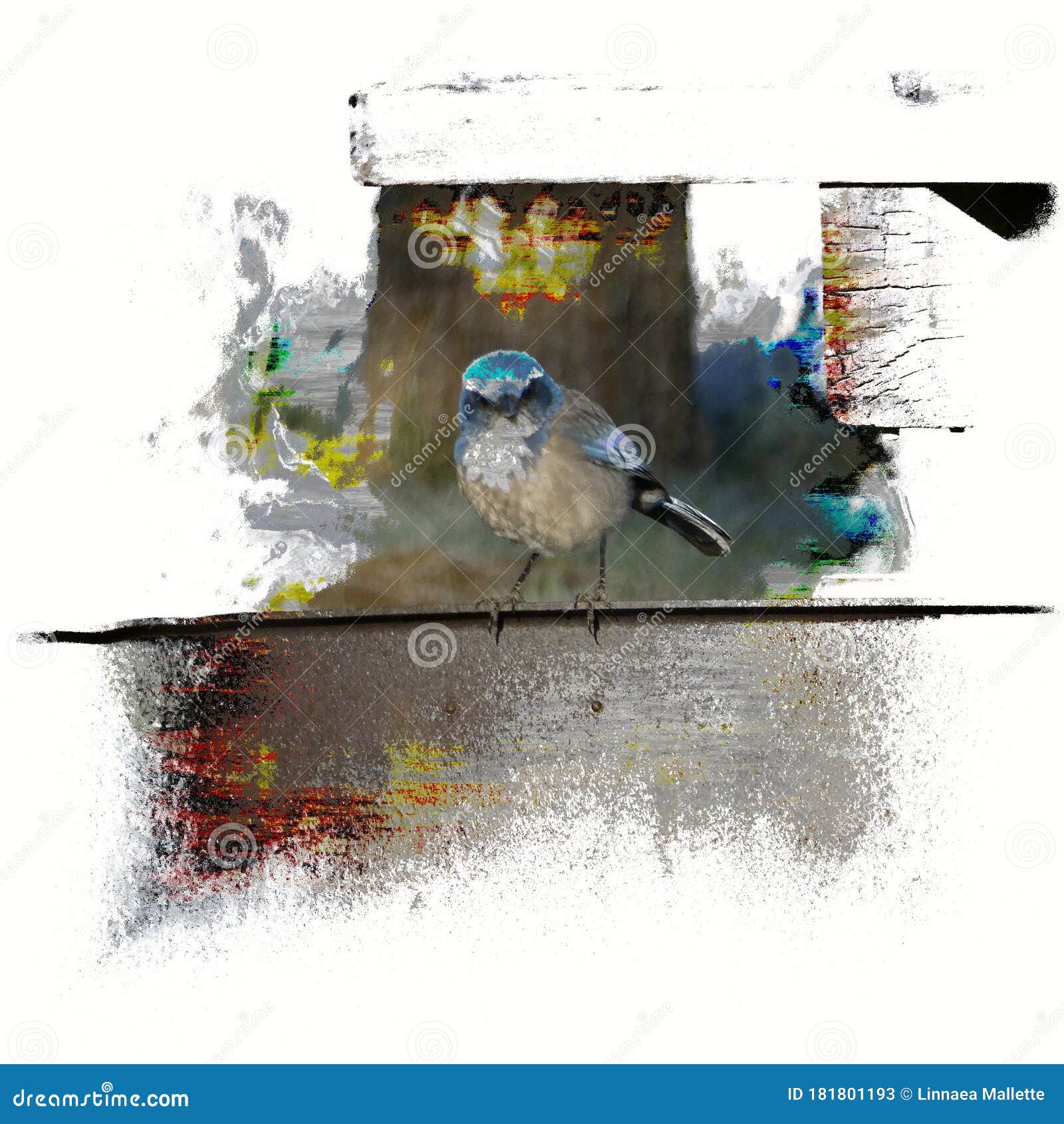 Blue Bird on a barrel stock image. Image of artistic - 181801193