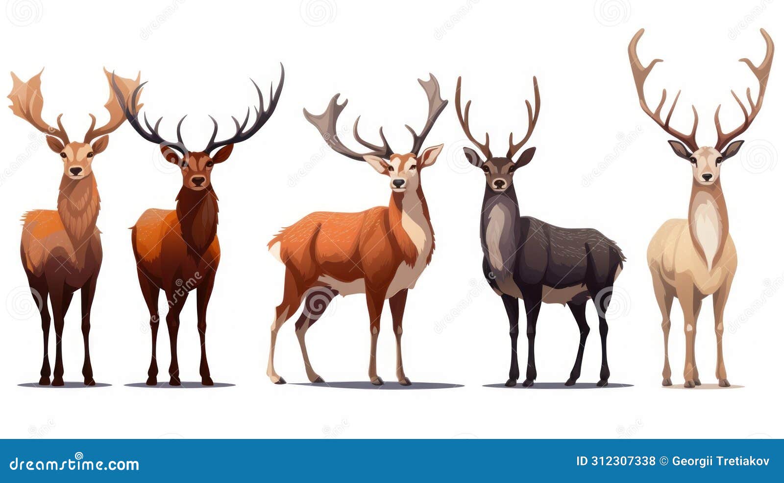 Illustration of a Gradient of Deer Evolution Stock Illustration ...