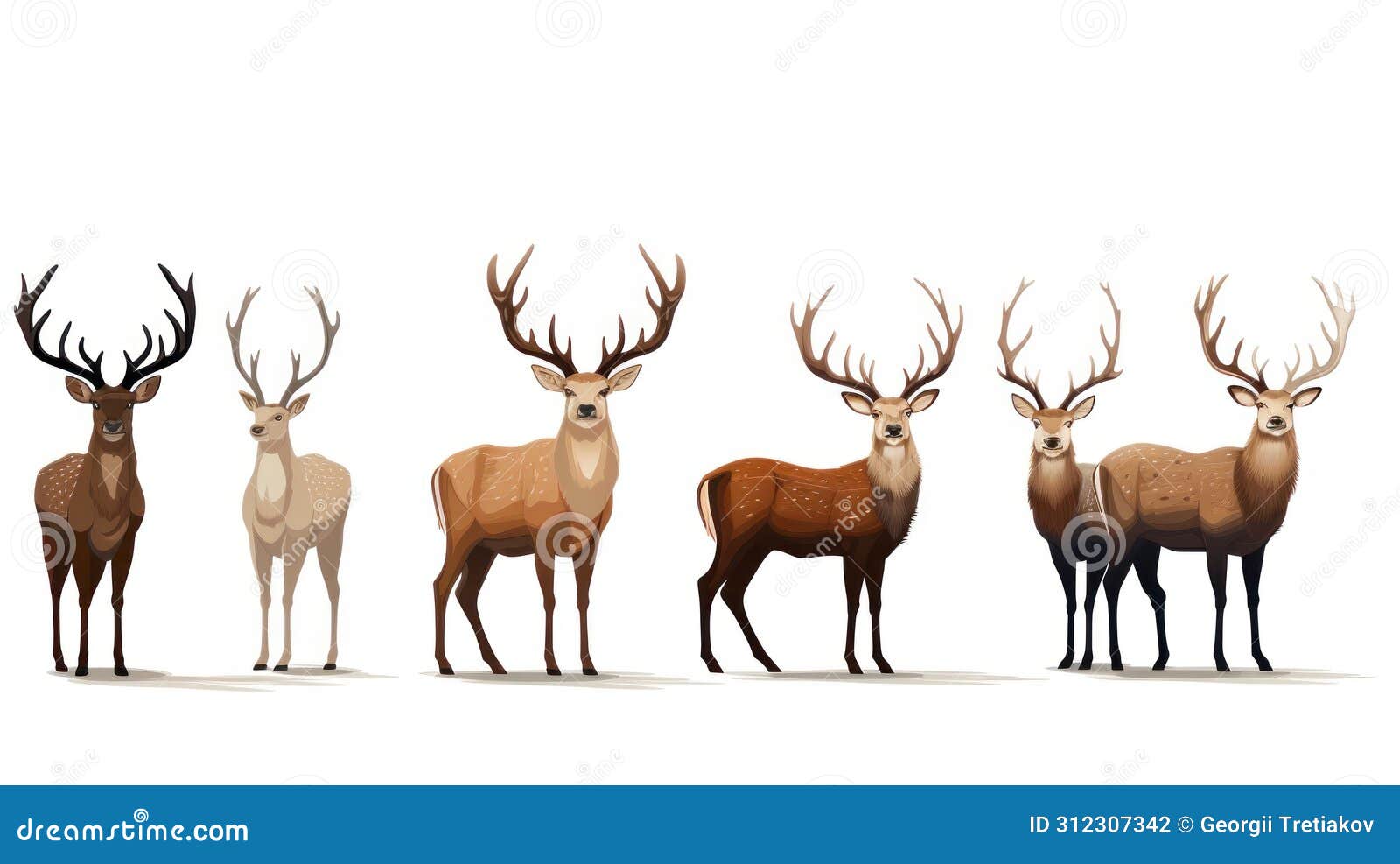 Illustration of a Gradient of Deer Evolution Stock Illustration ...