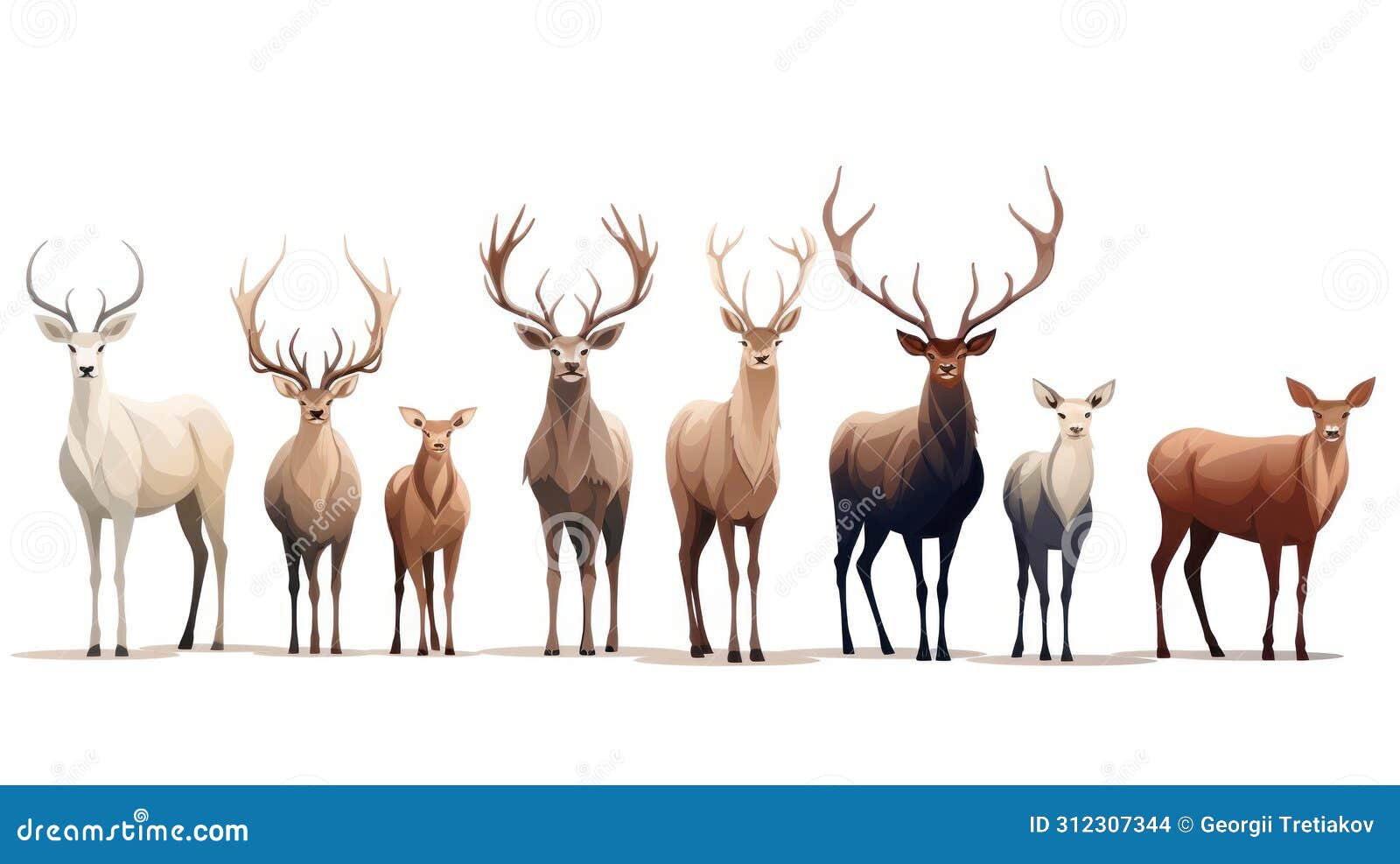 Illustration of a Gradient of Deer Evolution Stock Illustration ...