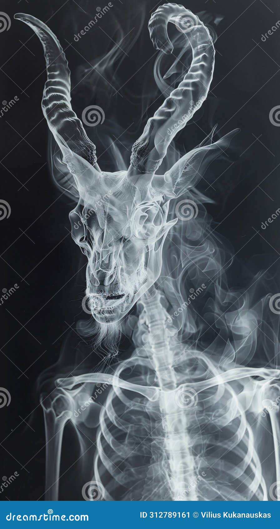 X-ray of a Skeletal Demon Haunting, Halloween Stock Illustration ...