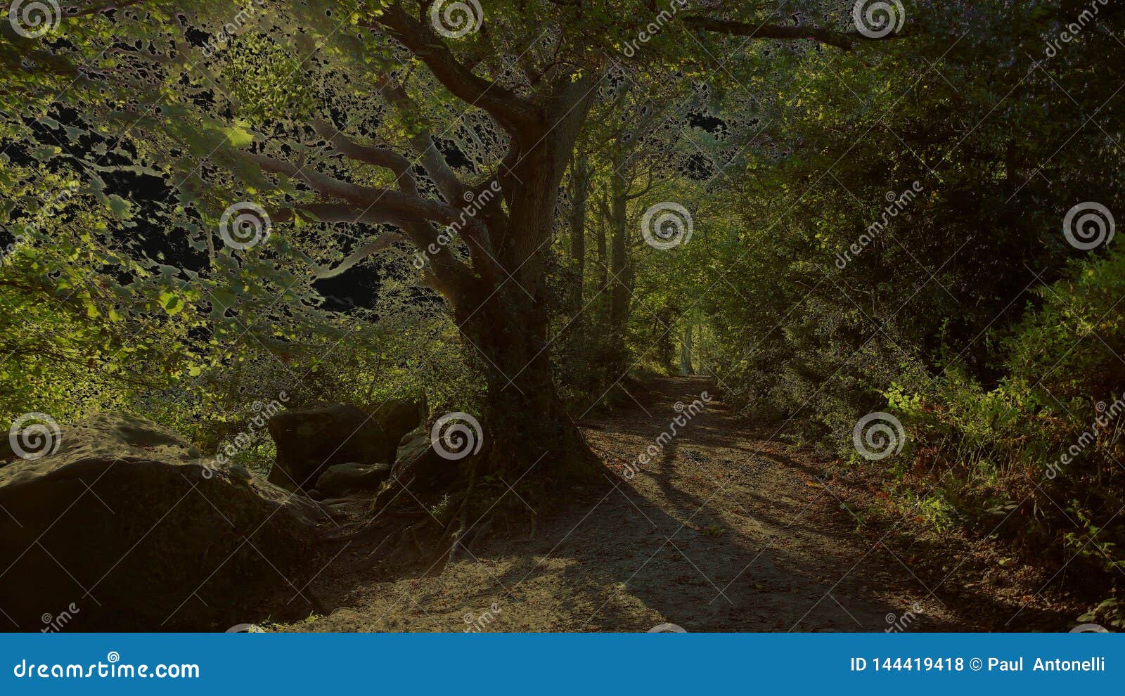 Artistic Spooky Yellow Version of Along the Path Stock Photo - Image of ...